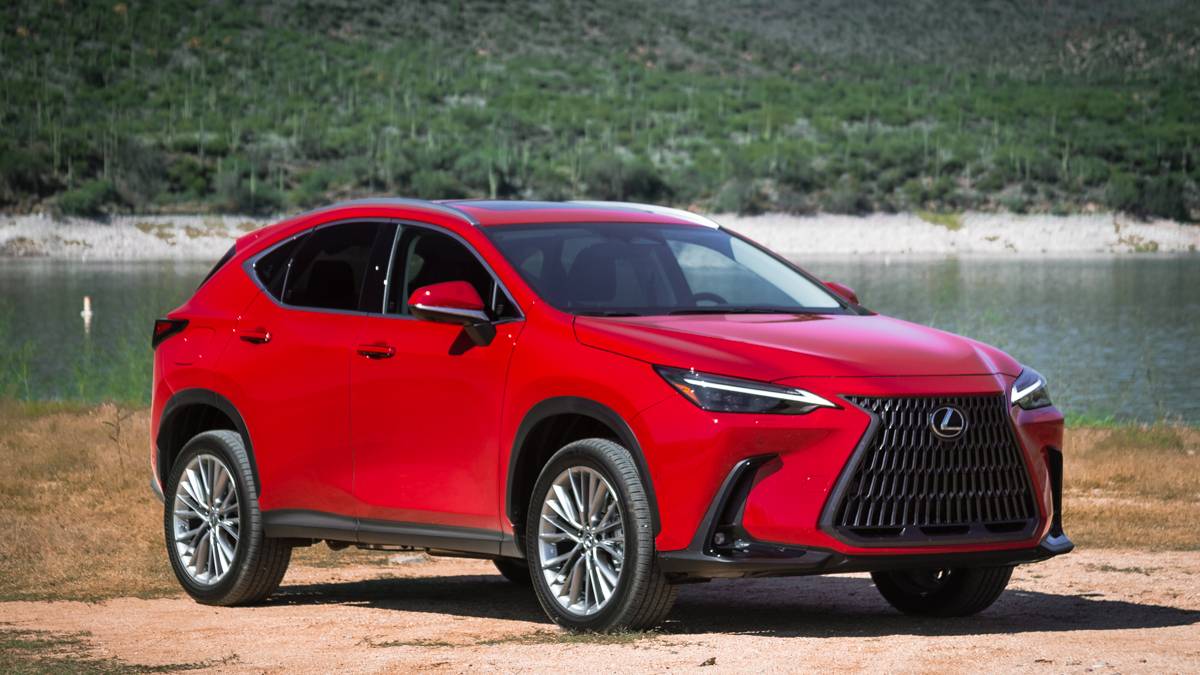 2024 Lexus NX Exterior Photos