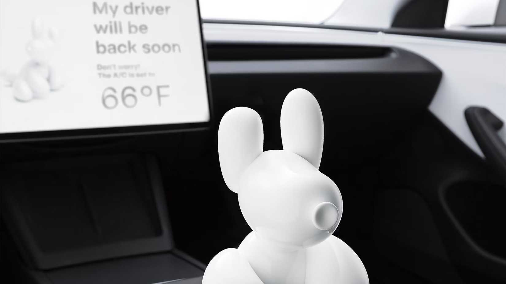 Exploring Tesla Dog Mode