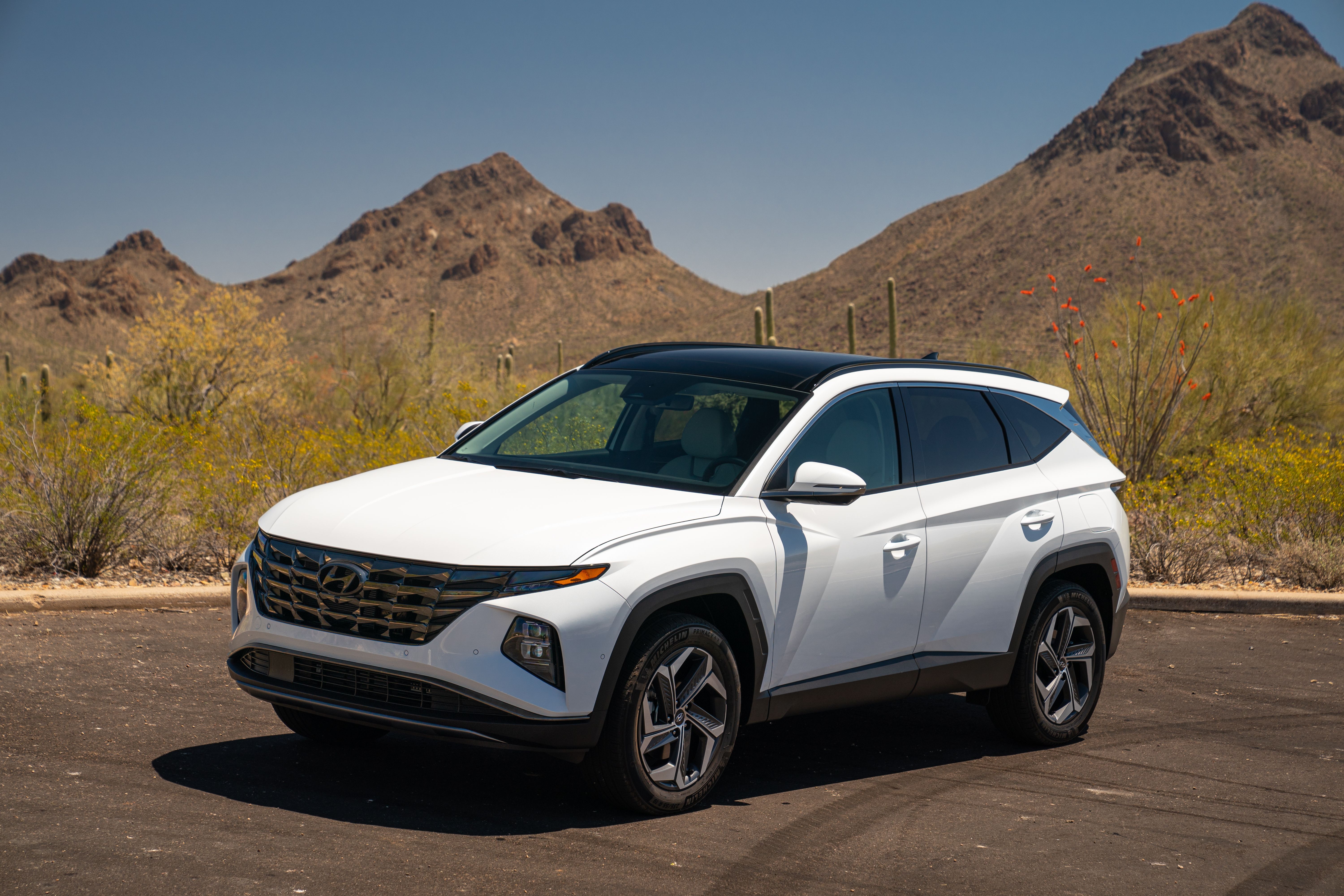 Most Reliable Small SUVs for 2024 | CarBuzz