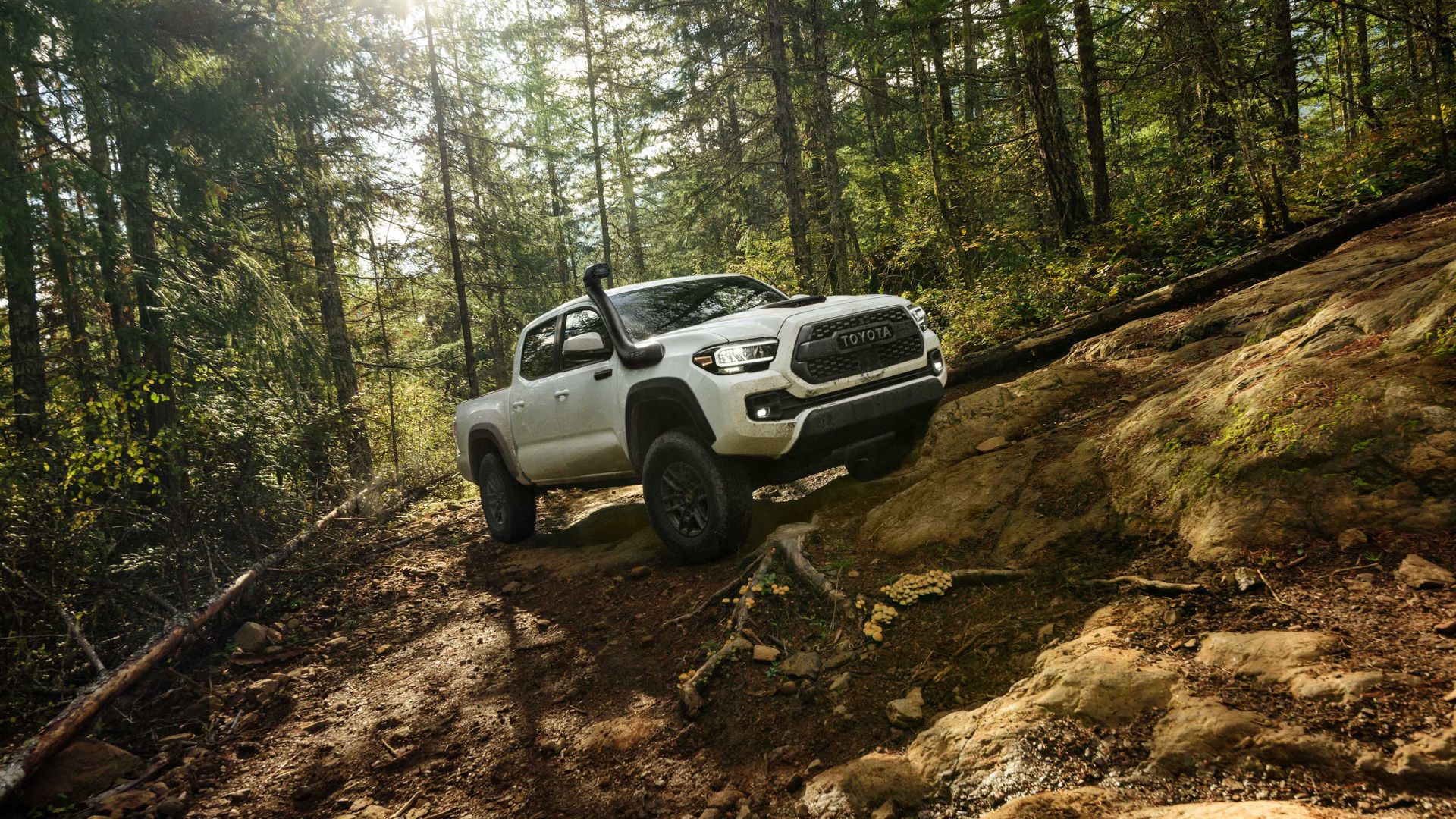 2020 Toyota Tacoma Pricing, Photos & Specs