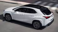 Ranking The Best Lexus SUVs For 2024