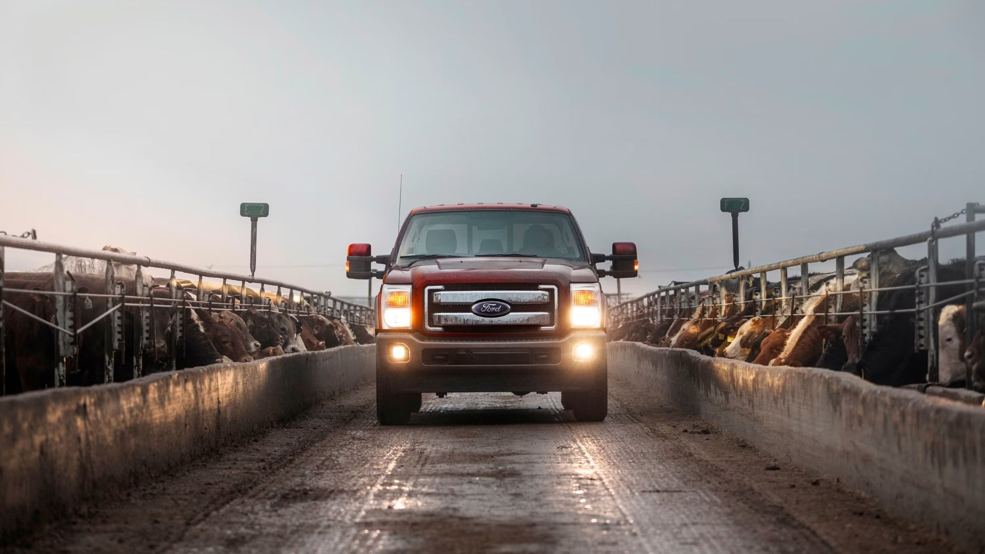 2011 Ford F-250 Super Duty Pricing, Photos & Specs