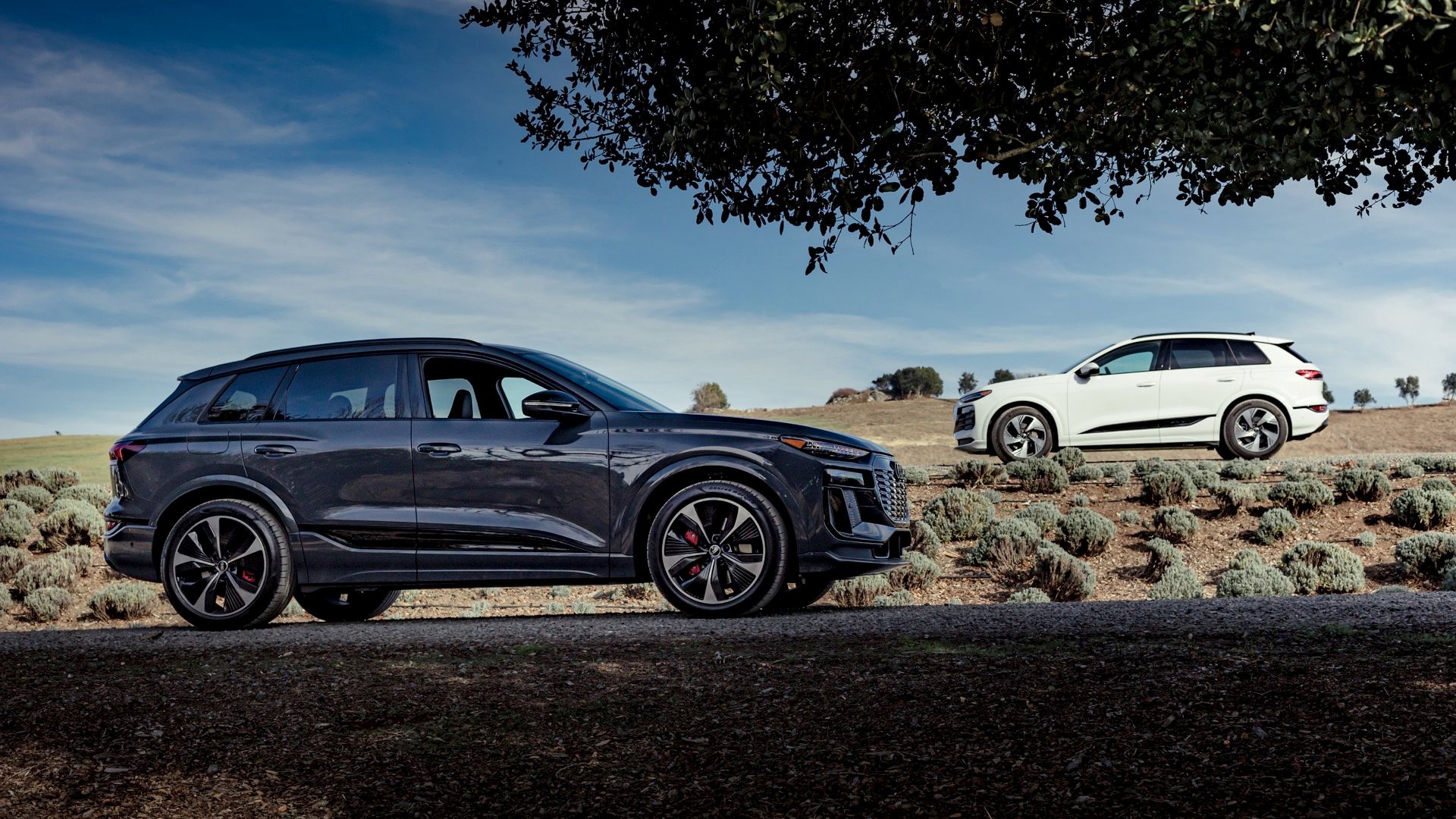 First Drive Review: The 2025 Audi Q6 & SQ6 e-tron Come With Space and Pace