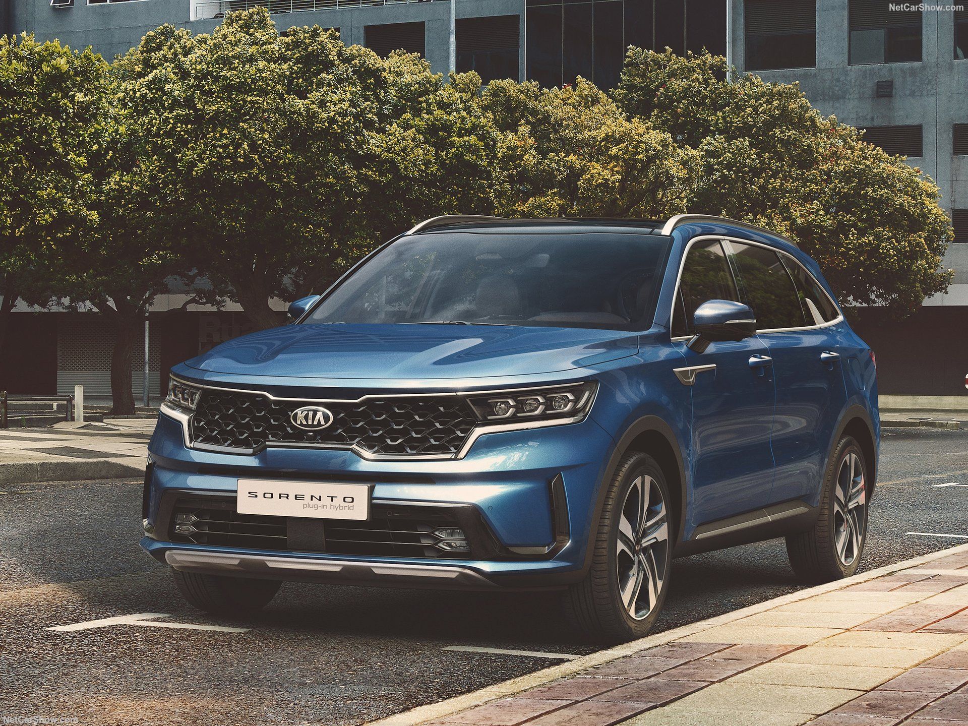 10 Reliable Used Kia Models That Won't Let You Down