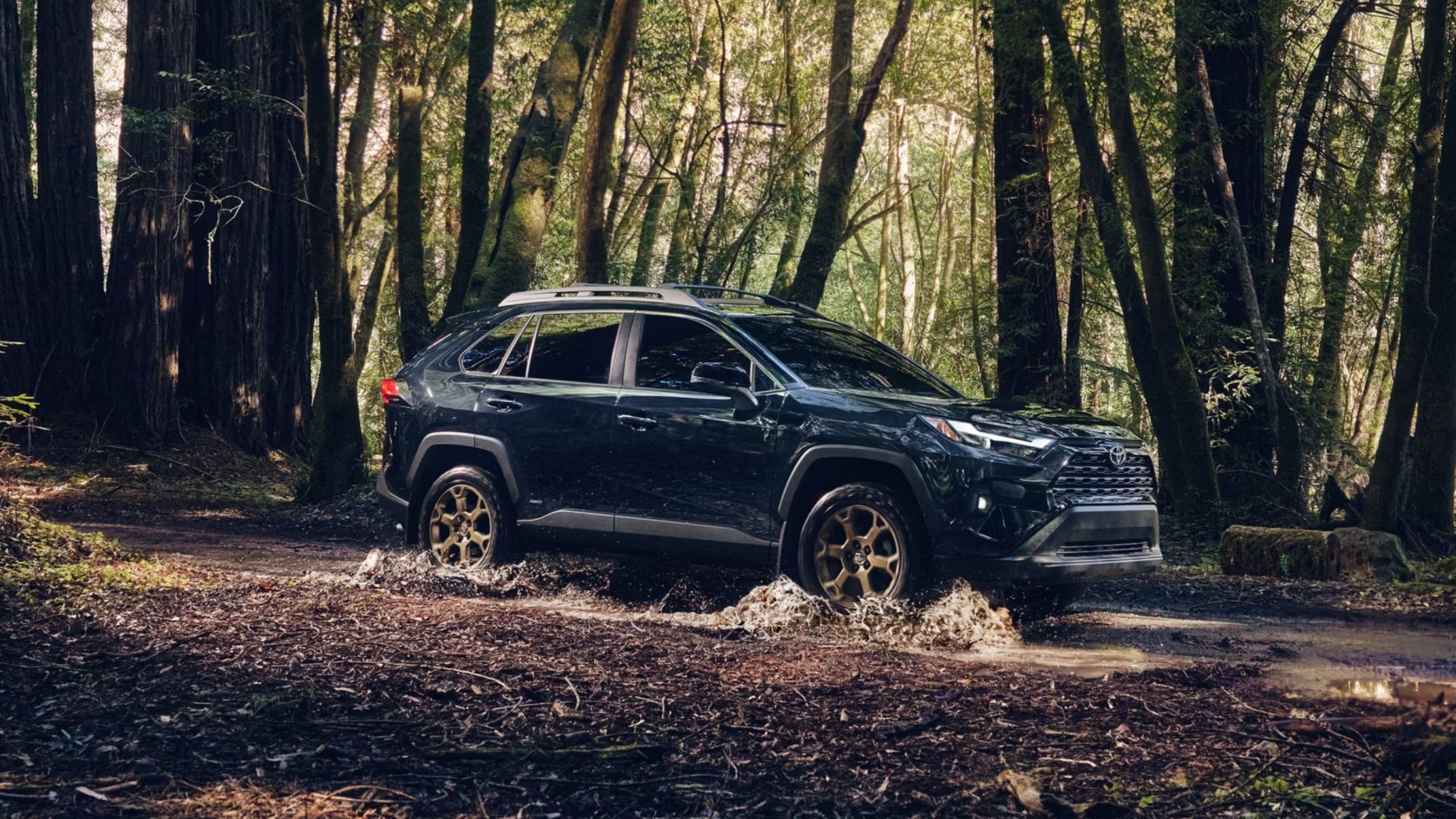 2025 Toyota RAV4 Images: Interior And Exterior Gallery