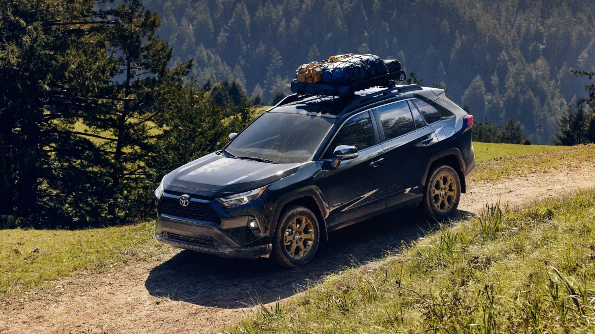2025 Toyota RAV4 Images: Interior And Exterior Gallery