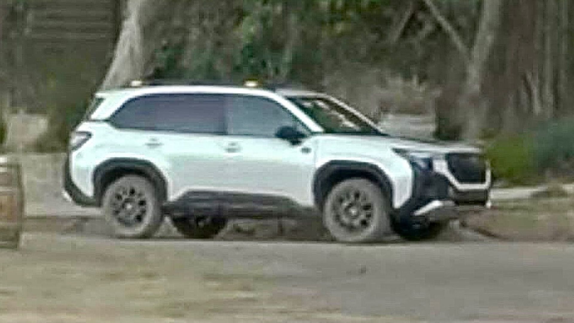 Forester Wilderness And Another New Subaru Arrive Next Week