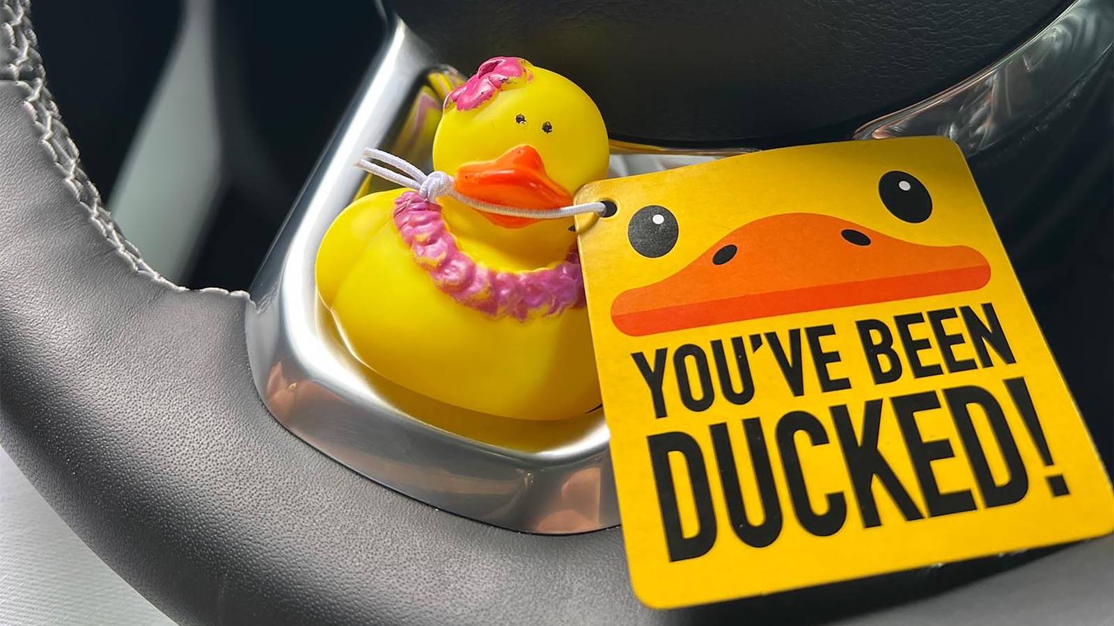 How Jeep Ducking Inspired Rival Automakers To Create Their Own Quirky ...