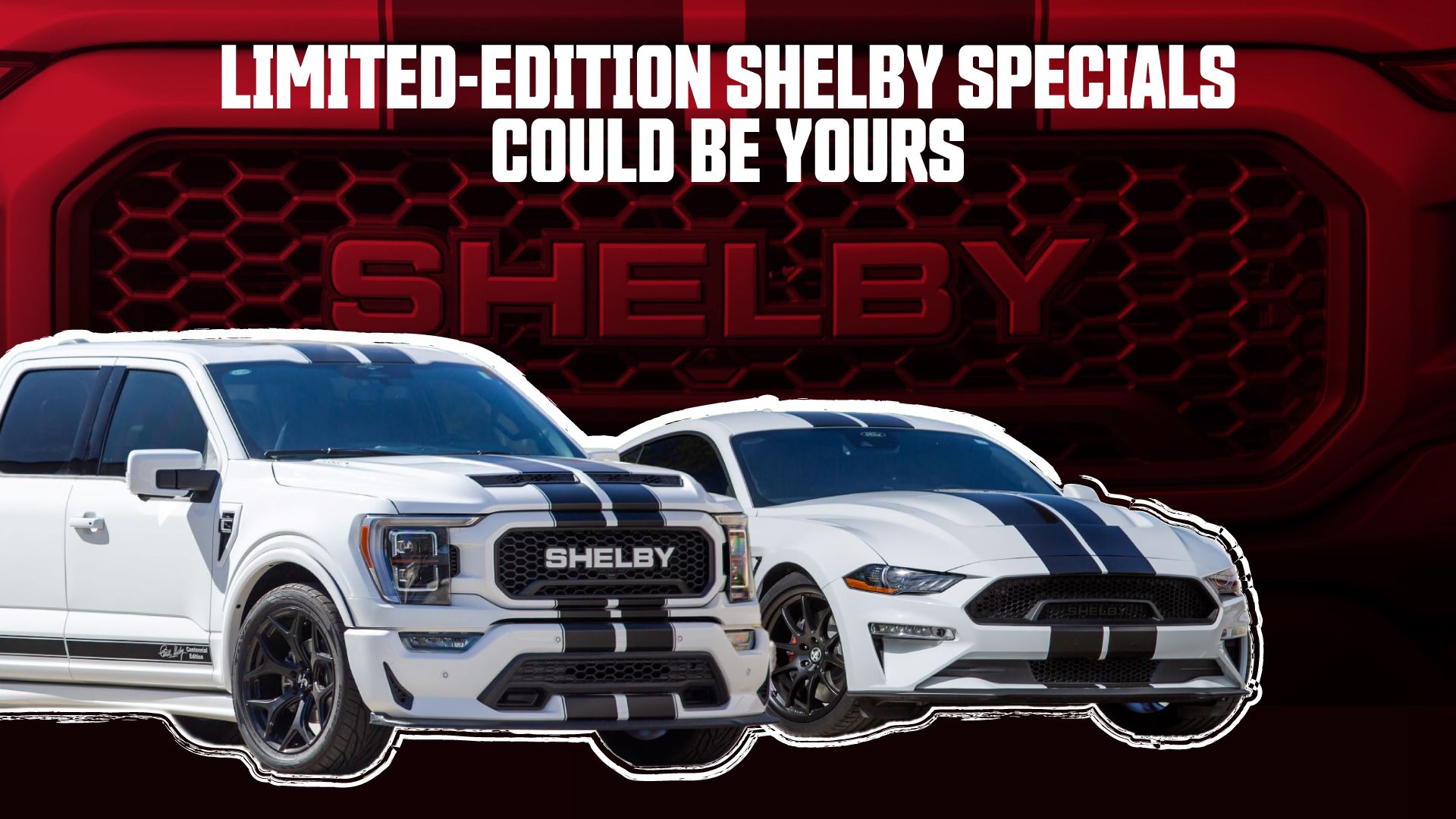 Supercharged Shelby Duo Is The American Dream You Can Have Right Now