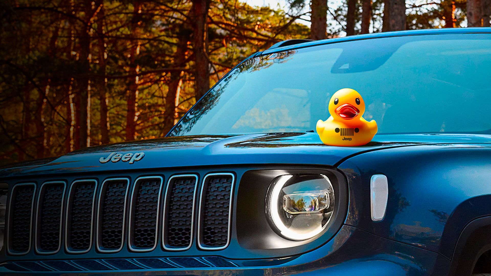 Jeep Ducks: What Is Jeep Ducking And How Did It Start?