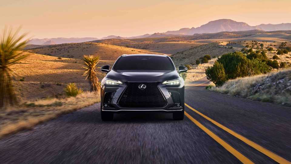 2025 Lexus NX Pricing, Photos & Specs