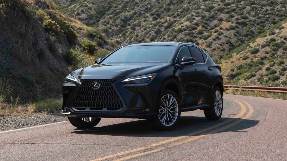 2025 Lexus NX Pricing, Photos & Specs