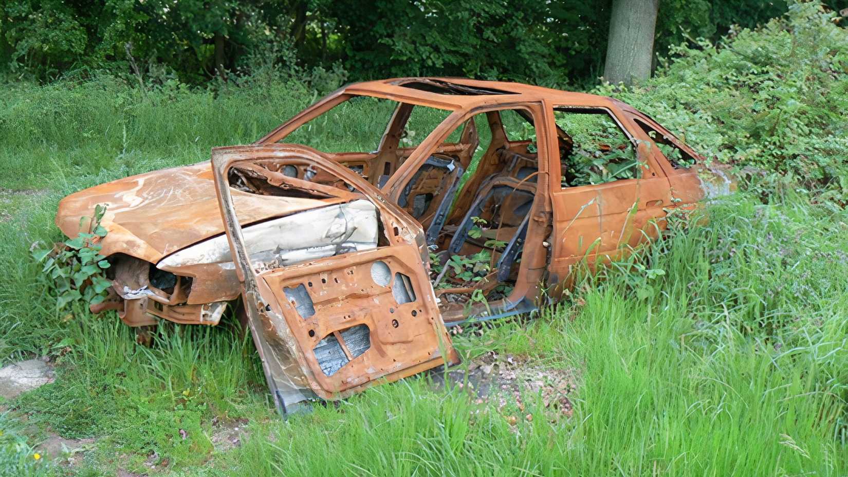 Everything You Wanted To Know About Cars But Were Afraid To Ask