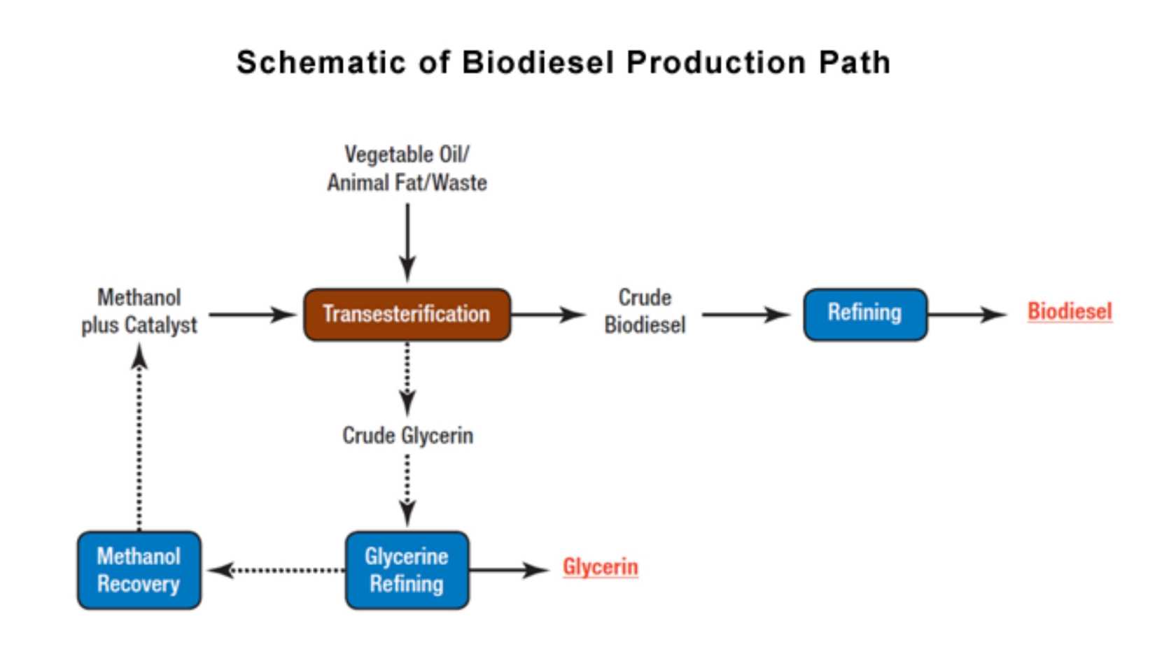 Biodiesel vs Diesel: What's the Difference?