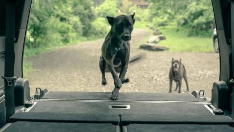 2026 Rivian R1S SUV Pricing, Photos & Specs