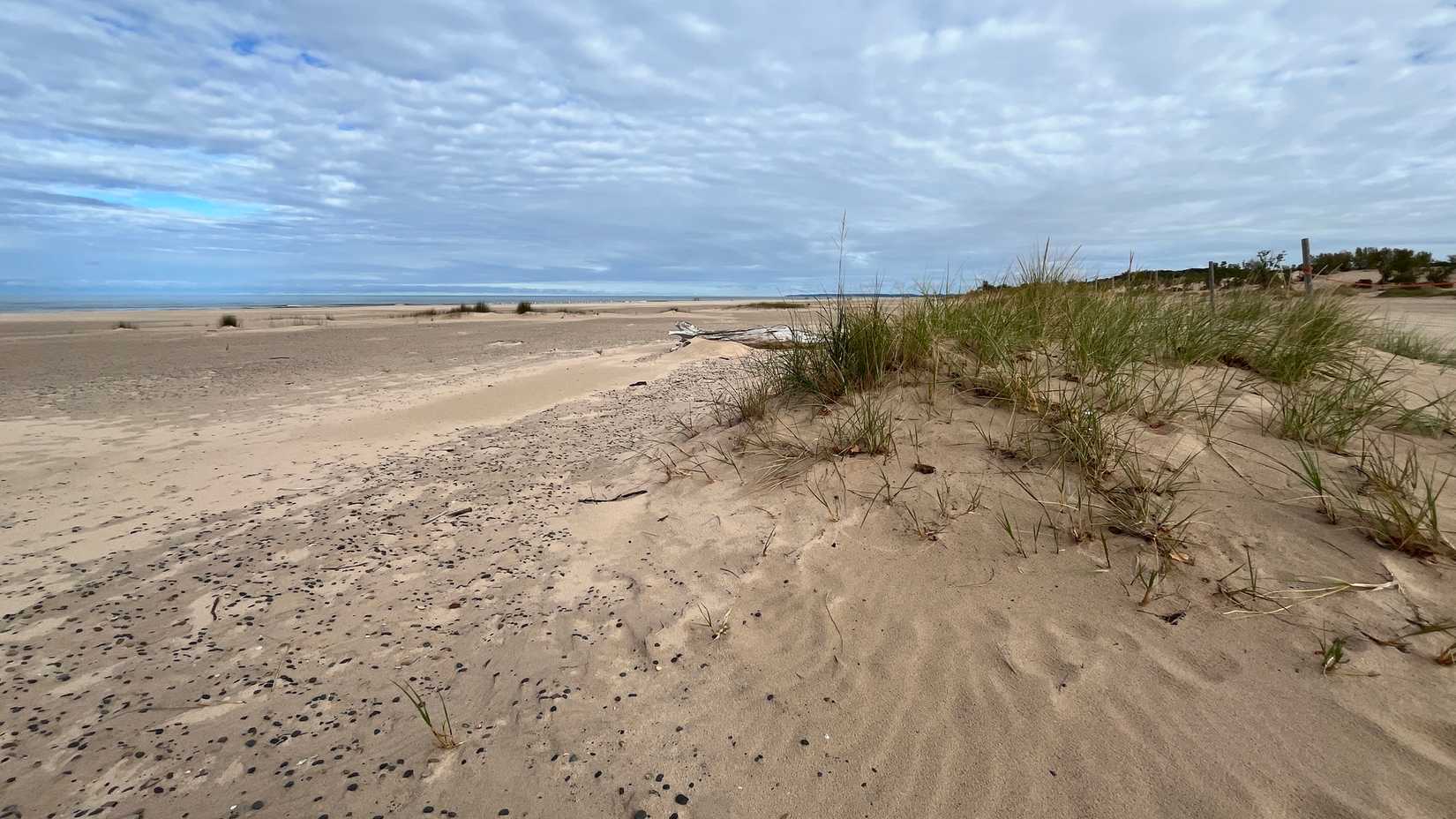 Dune Driving: Accessible Off-Roading Adventure for Any 4x4