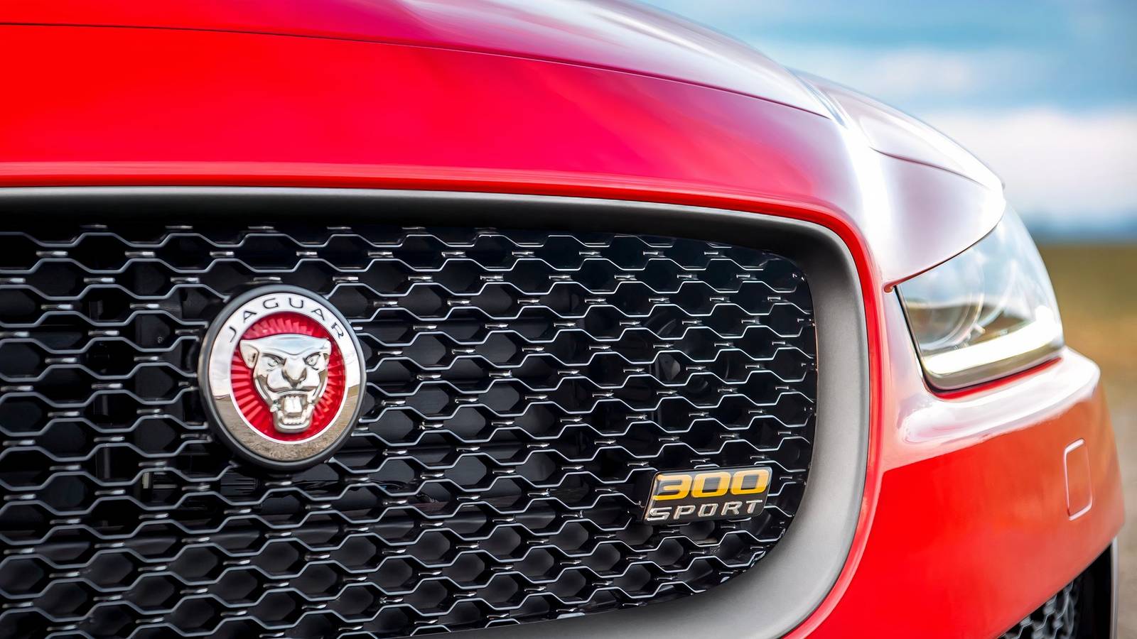 Jaguar Warrant Covers Is The One Area Where It Beats BMW