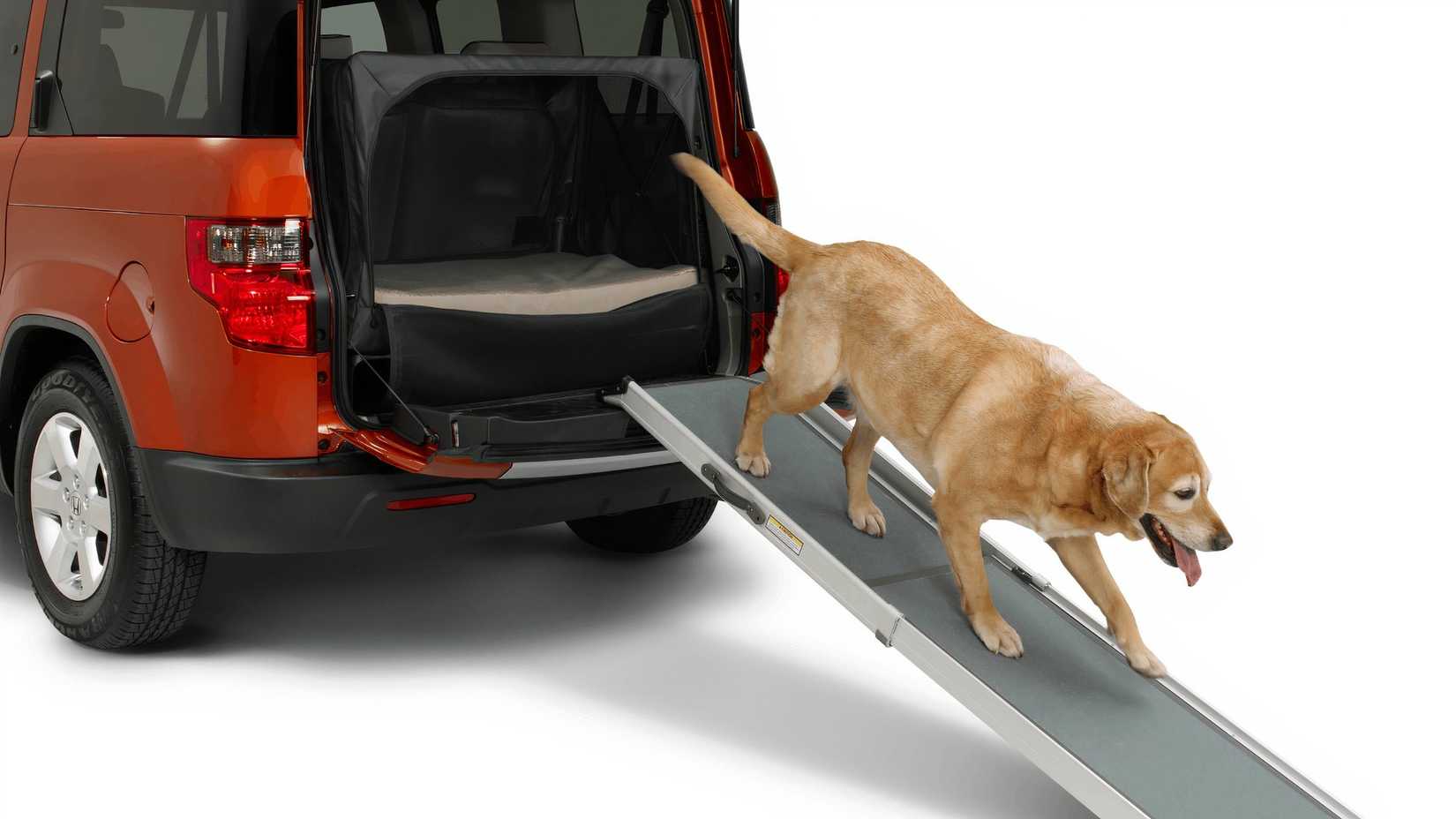 The Honda Dog Friendly Element Was The Perfect Rig For Pet Owners