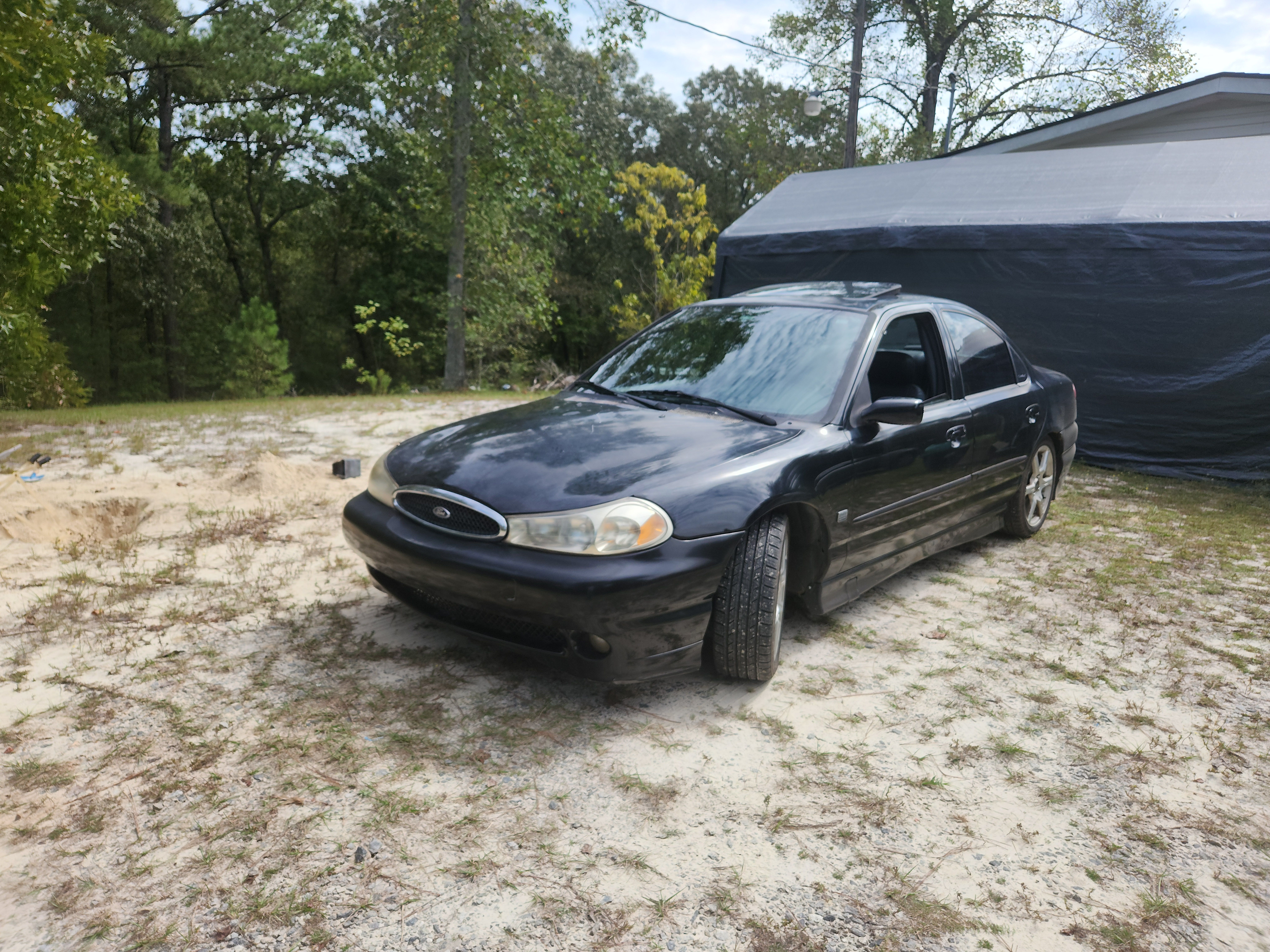 The Best Ford SVT Cars Ever Made