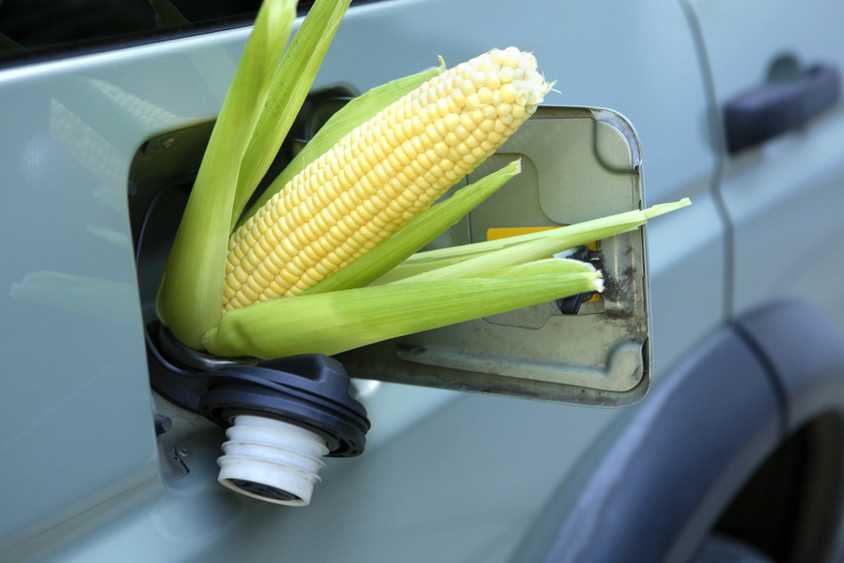 Understanding Flex Fuel: Meaning, Pros, And Cons