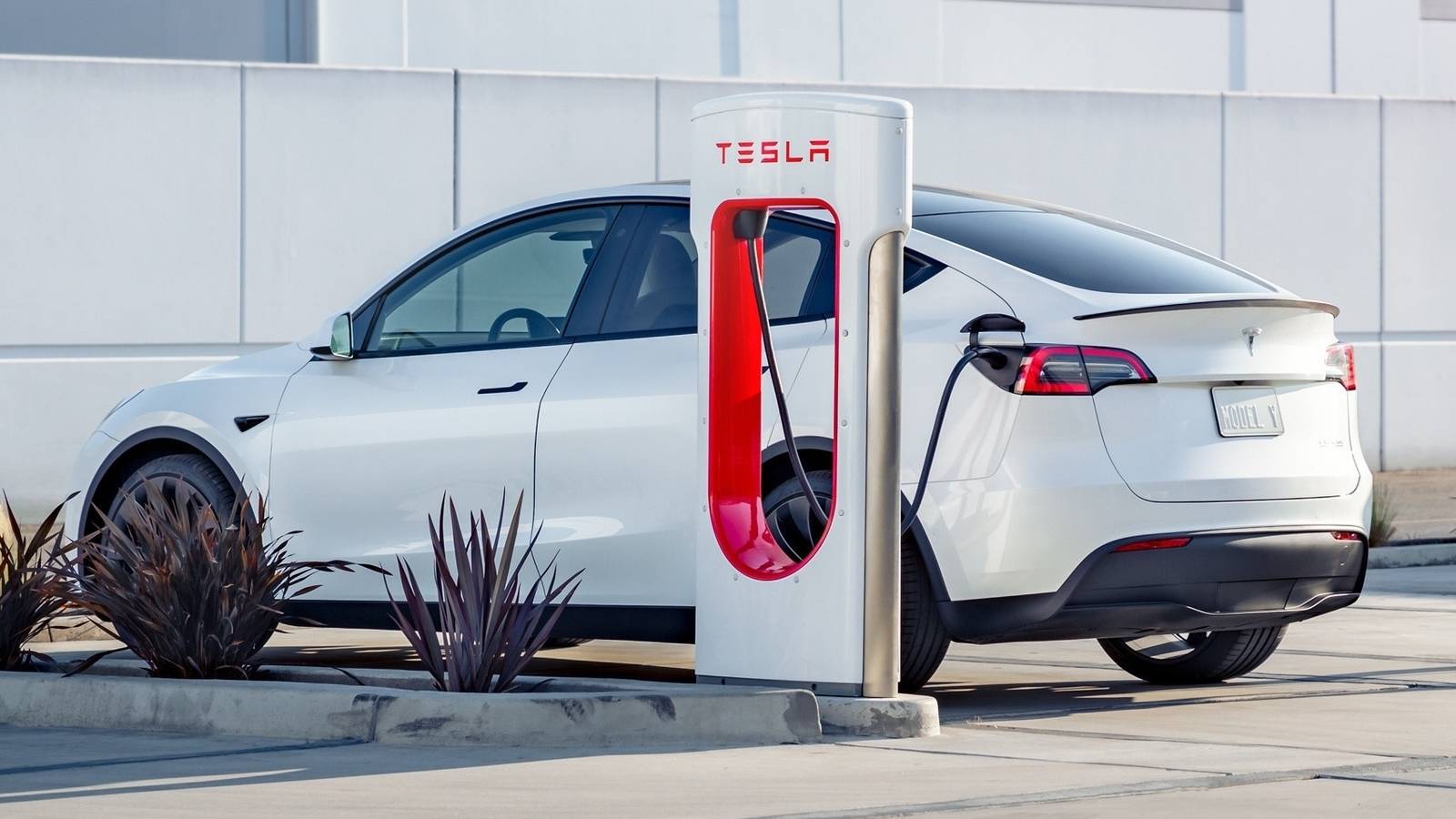 Tesla's NACS Connector To Become Standard Charger For Entire EV Industry