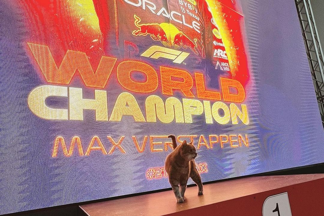 Formula 1's Famous Imola Paddock Cat Has Died