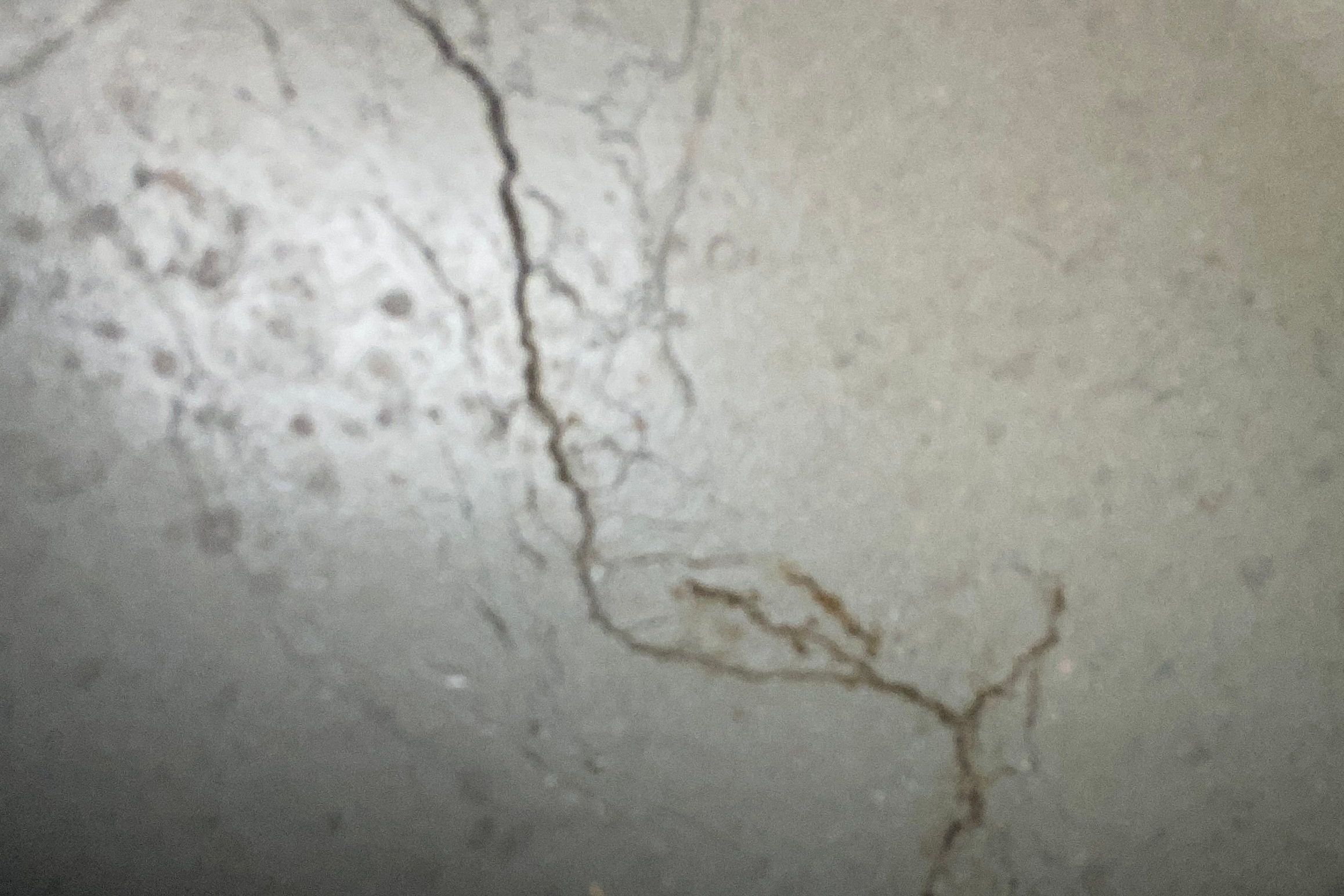 New Tesla Model Y Has Alarming Cracks On Front Casting