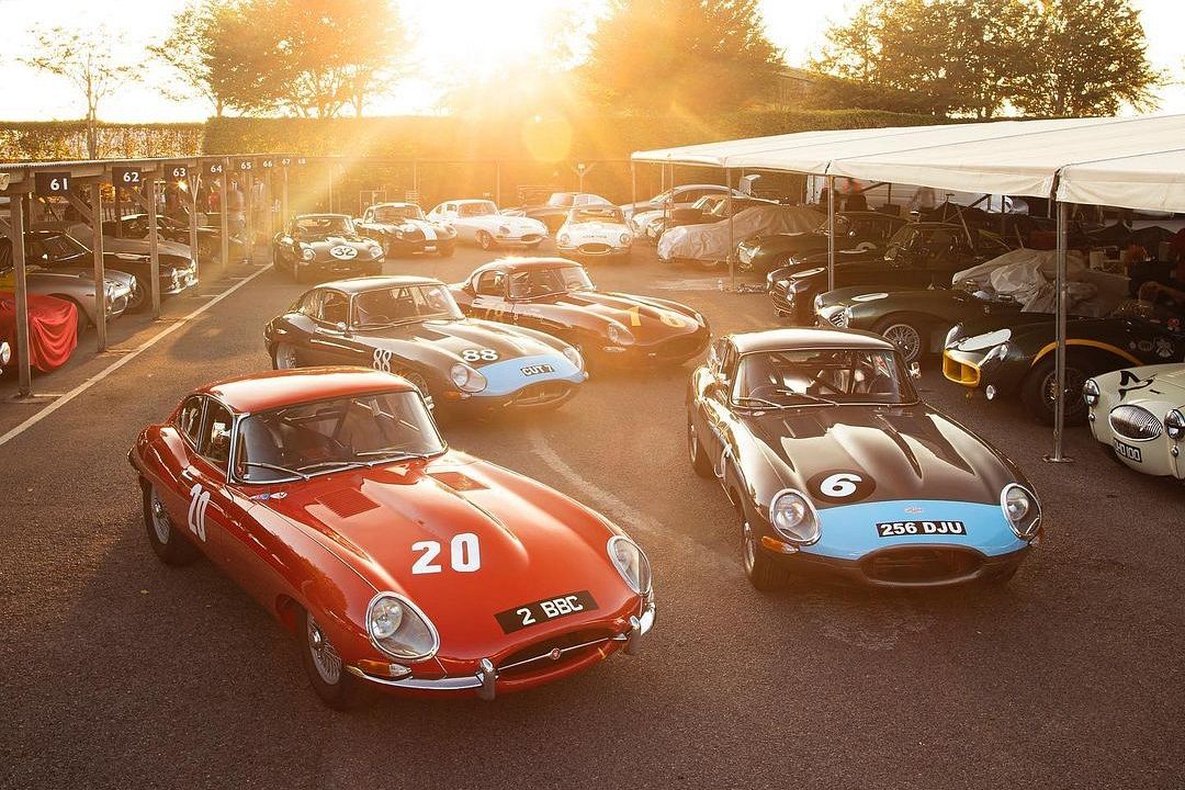 From Le Mans Glory to Hypercar Elegance: Inside the Hamilton Collection