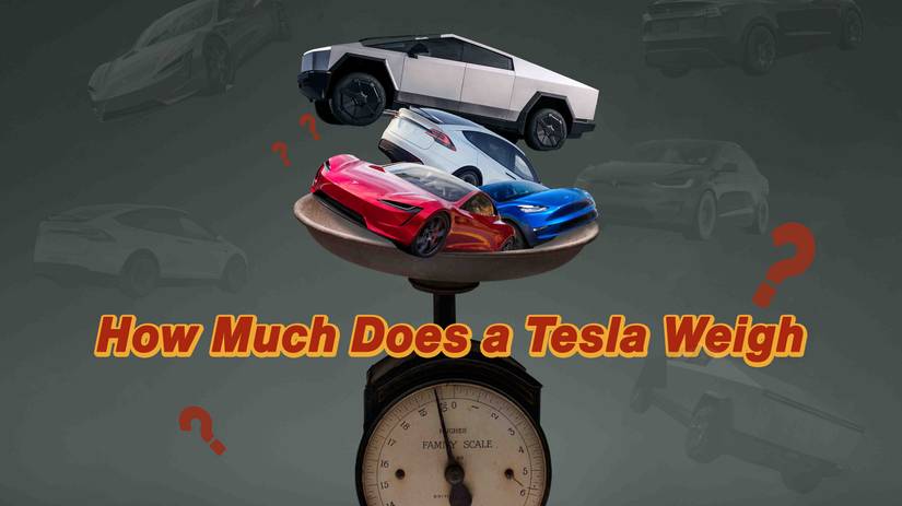 How Much Does A Tesla Weigh: Unpacking The Pounds Behind America's Best ...