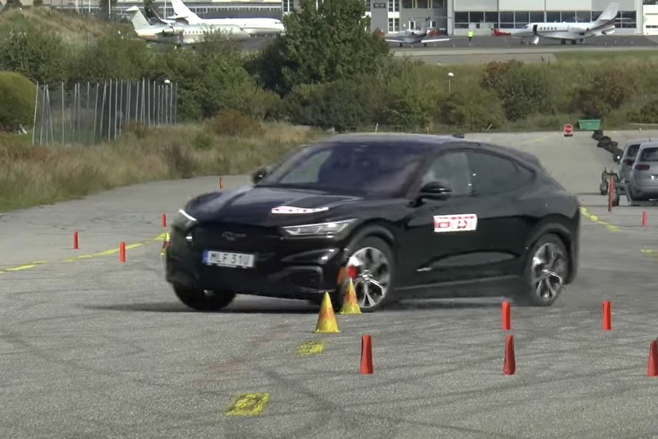 Decoding The Moose Test: The Biggest Winners And Losers