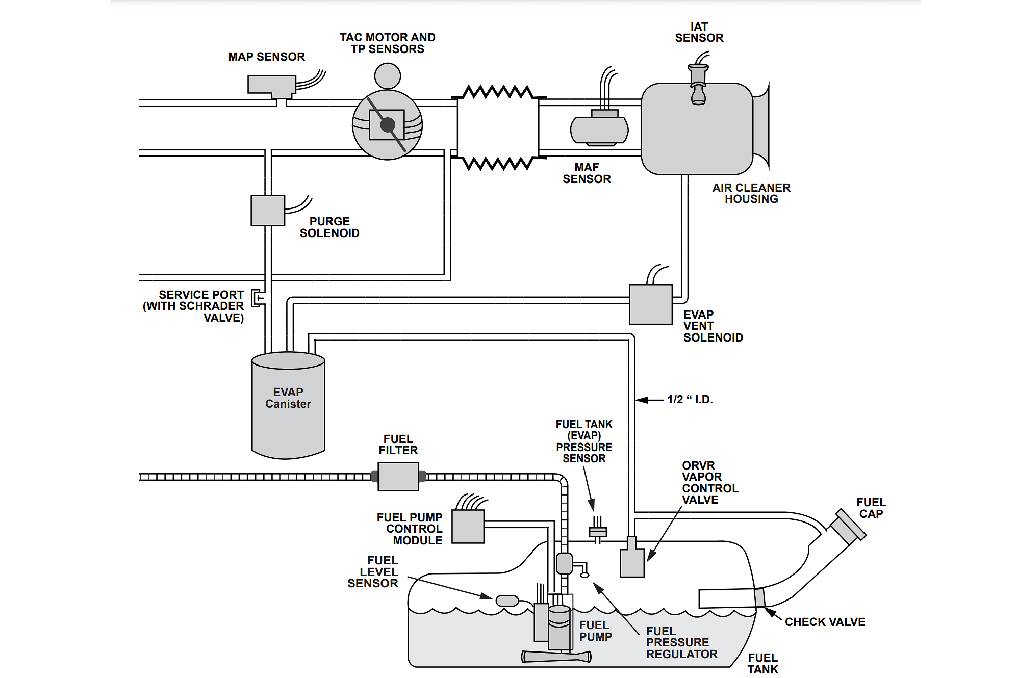 P0442 Code: What It Is And How To Fix It