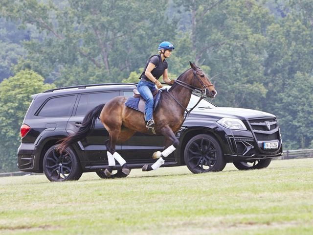 Awesome Mercedes Vs. Horse In The Most Bizarre Drag Race Ever