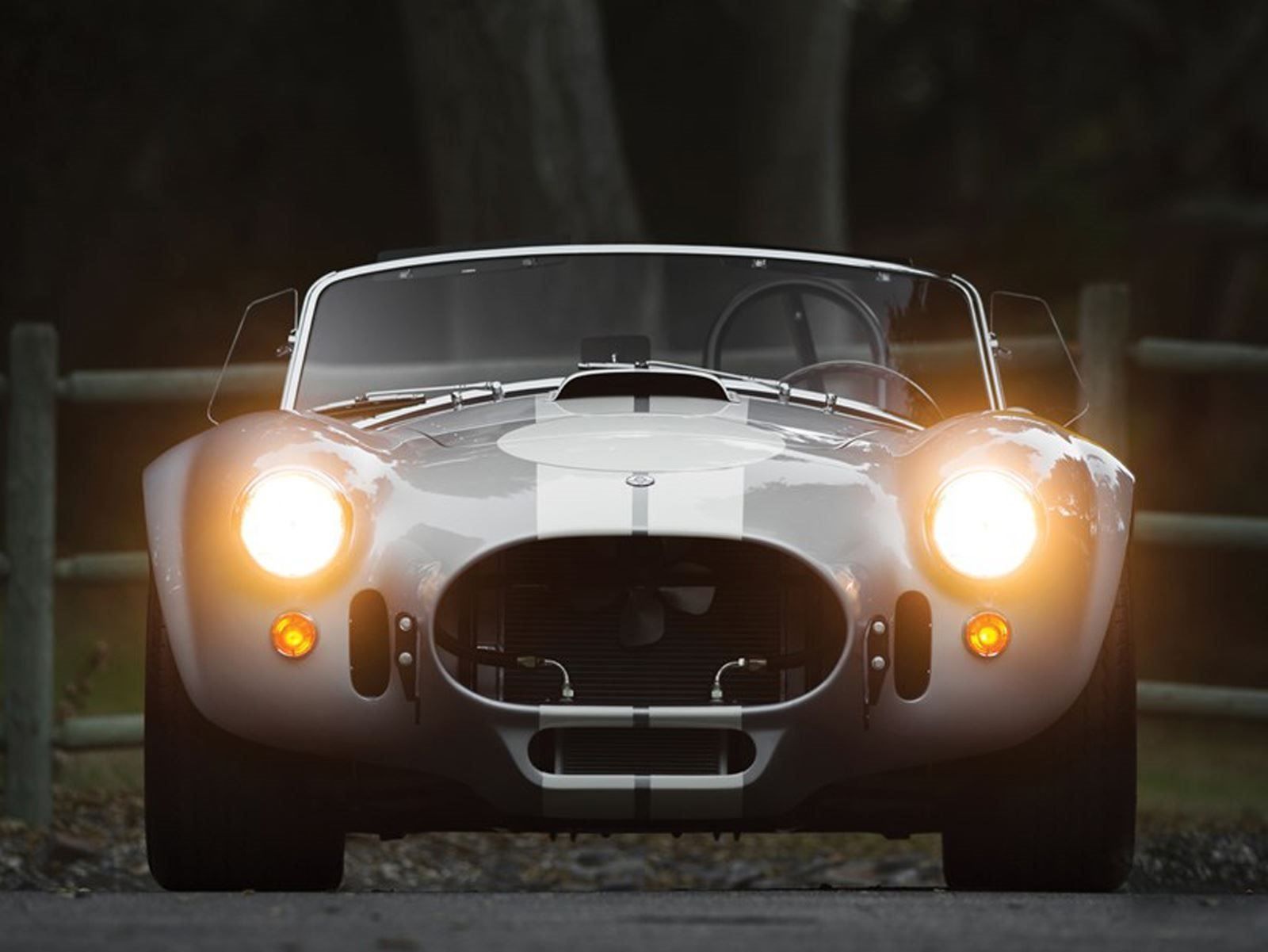 This Ridiculously Rare Shelby Cobra Sold For Nearly $3 Million