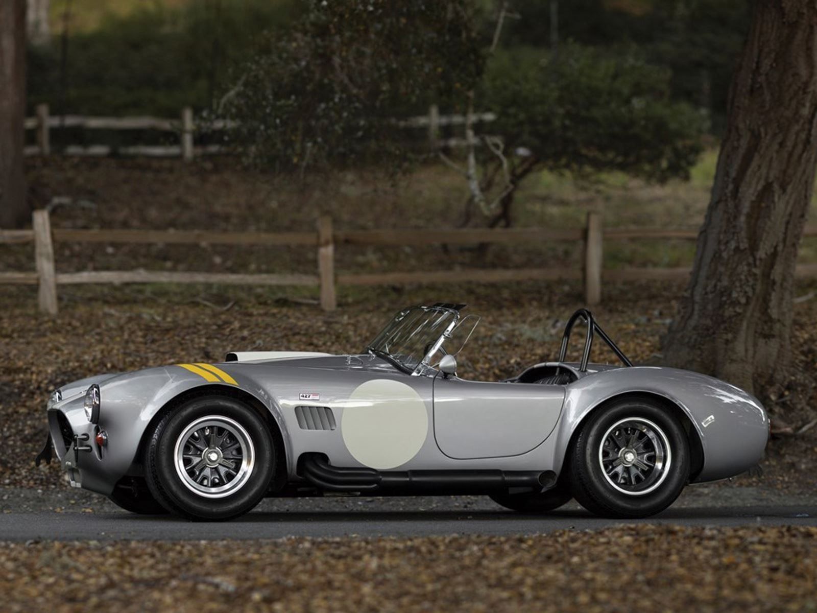 This Ridiculously Rare Shelby Cobra Sold For Nearly $3 Million