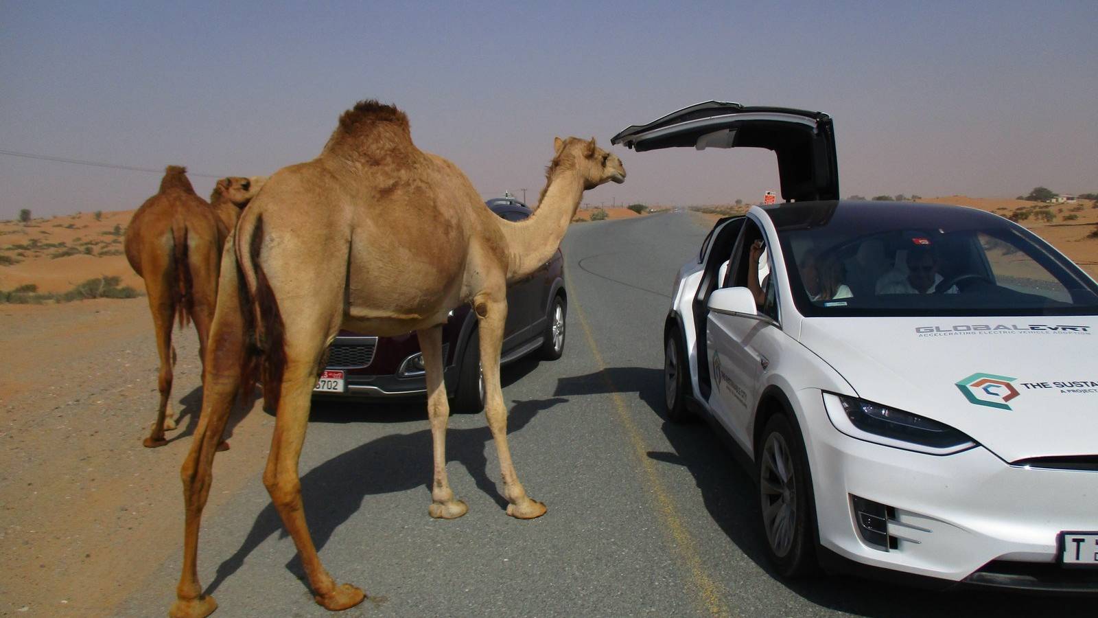 12 Of The Strangest Automobile Laws From Around The World