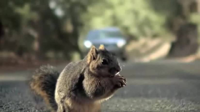 Greatest Super Bowl Car Commercials Ever