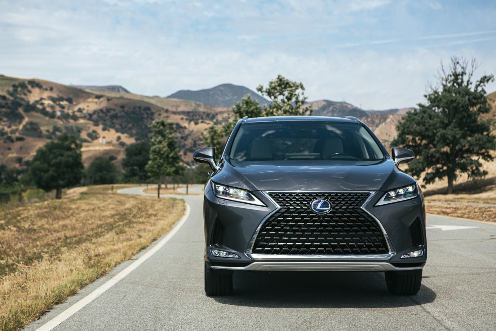 2020 Lexus RX Features World-First Tech