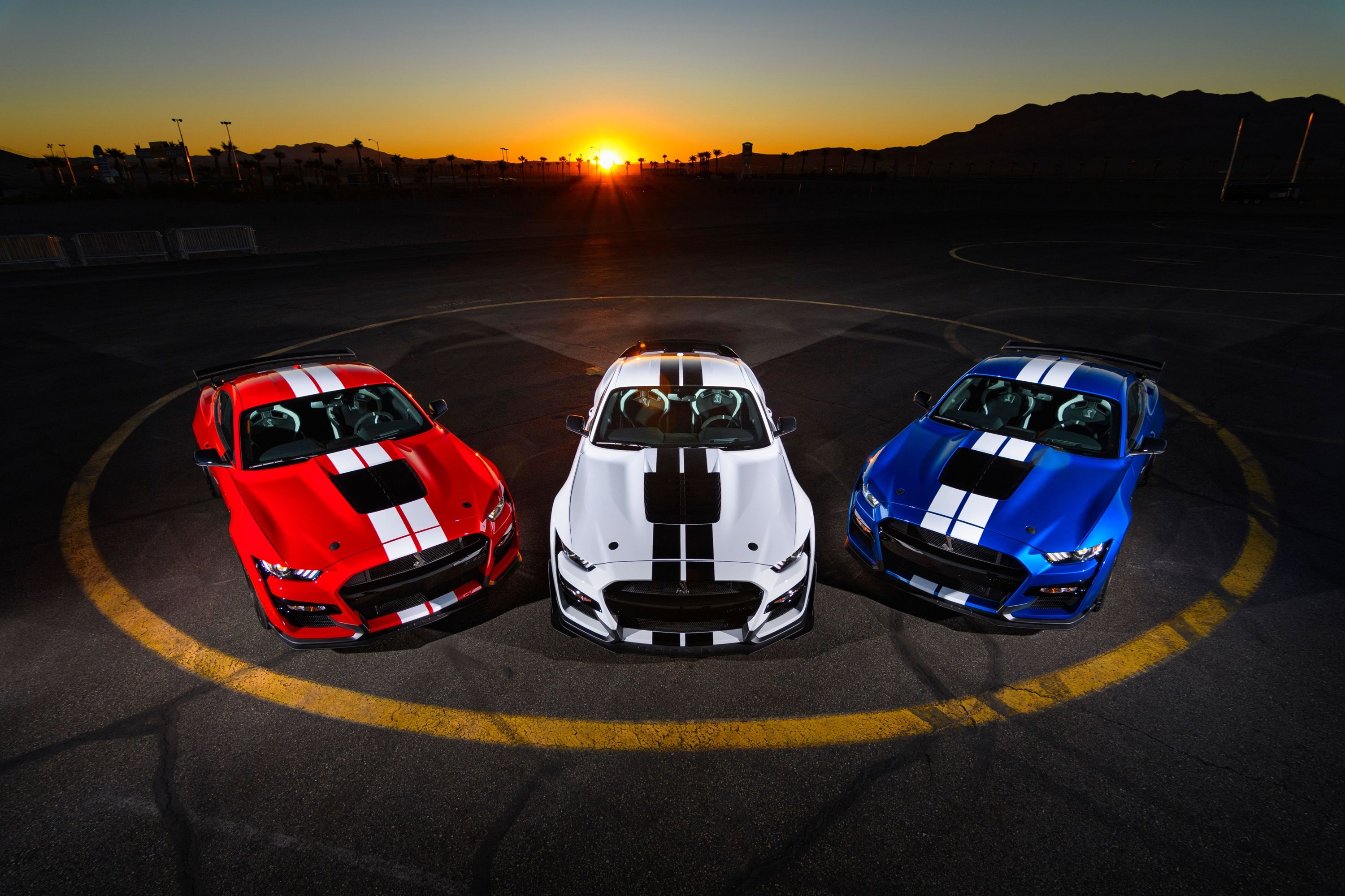 12 Facts About The Ford Mustang You Should Know