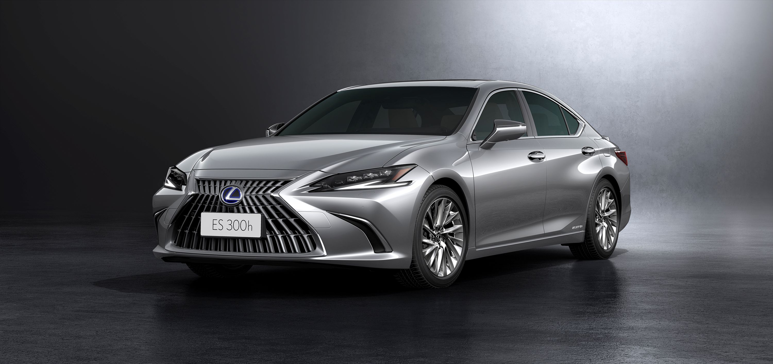 Lexus 300h hybrid store